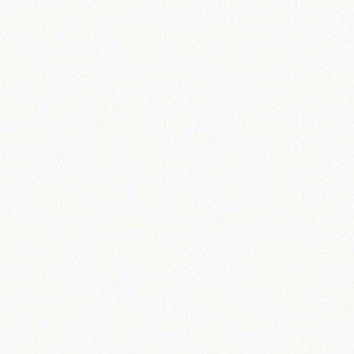 Egger Premium White W1000 PM 19mm MFC